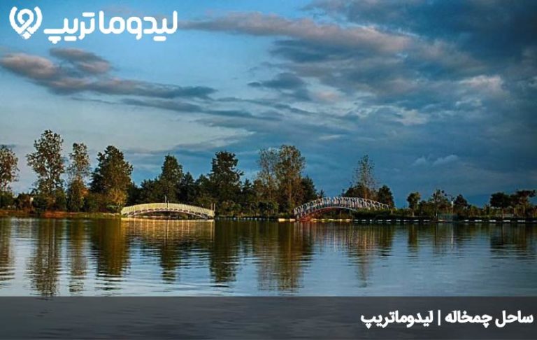 گیسوم کجاست؟ | راهنمای کامل سفر به جنگل گیسوم و ساحل گیسوم